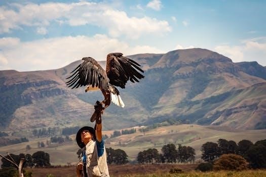 Soar Safely: Prayers & Guidance for Those Who Fly